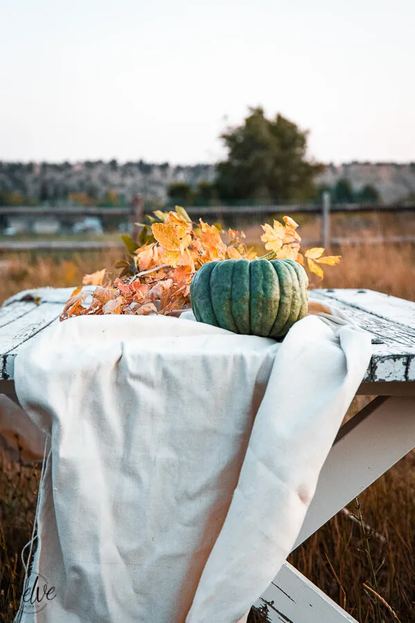 Fall Dining in a Field - Twelve On Main