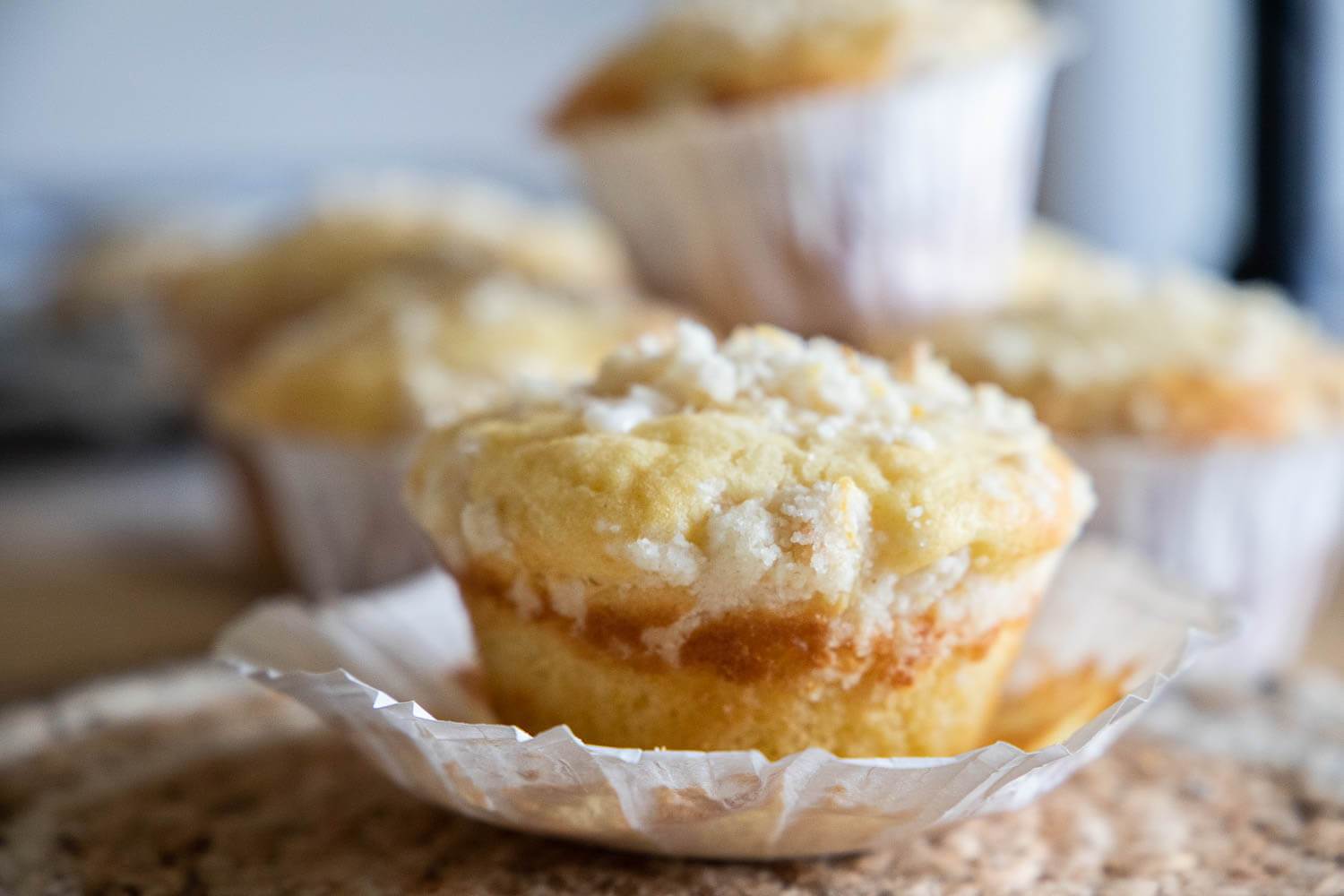 Blueberry Sourdough Discard Muffins - Twelve On Main