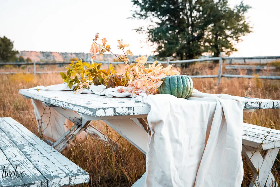 Fall Dining in a Field - Twelve On Main