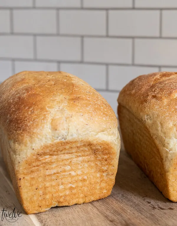Amazingly Easy Kamut Bread Using Khorasan Wheat - Twelve On Main