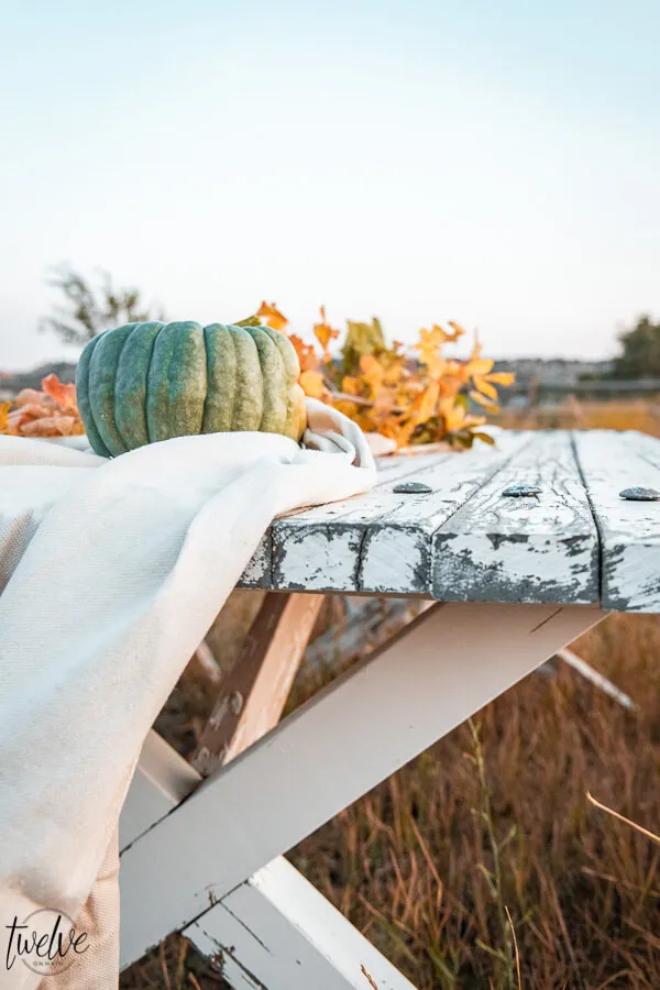 Fall Dining in a Field - Twelve On Main