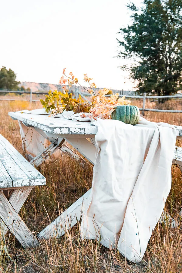 Fall Dining in a Field - Twelve On Main