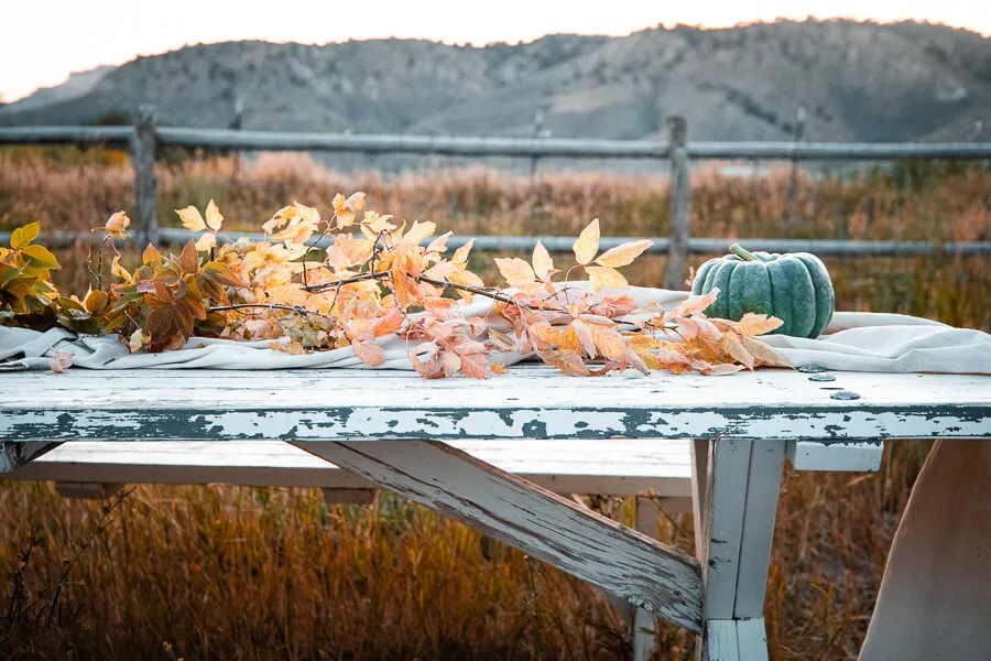 Fall Dining in a Field - Twelve On Main