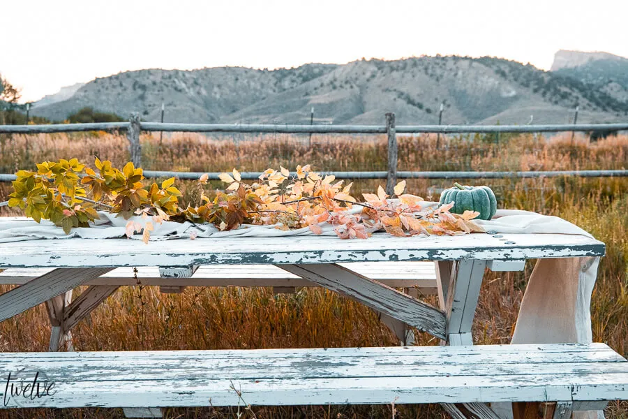 Fall Dining in a Field - Twelve On Main